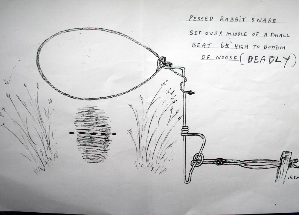 Professional Rabbit Snaring For Beginners & Amateurs