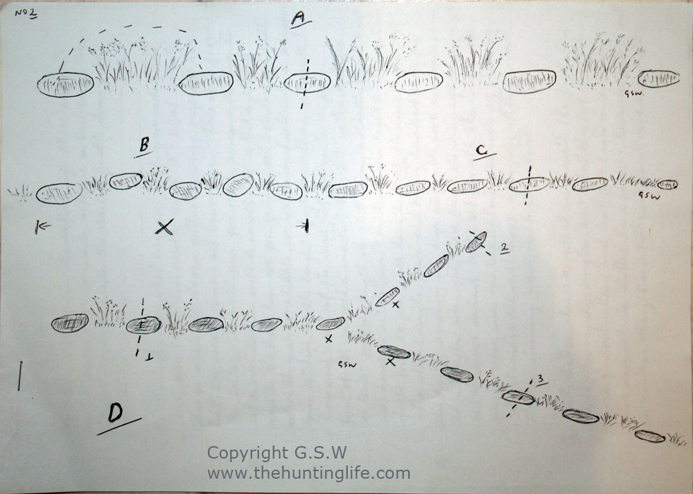 Professional Rabbit Snaring For Beginners & Amateurs
