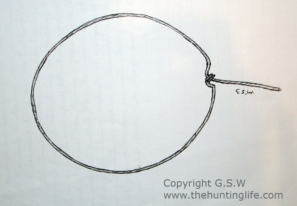 Professional Rabbit Snaring For Beginners & Amateurs