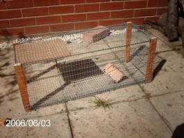 How to Build a Rabbit Trap | The Hunting Life